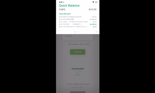 Central Bank Quick Balance | Central Bank